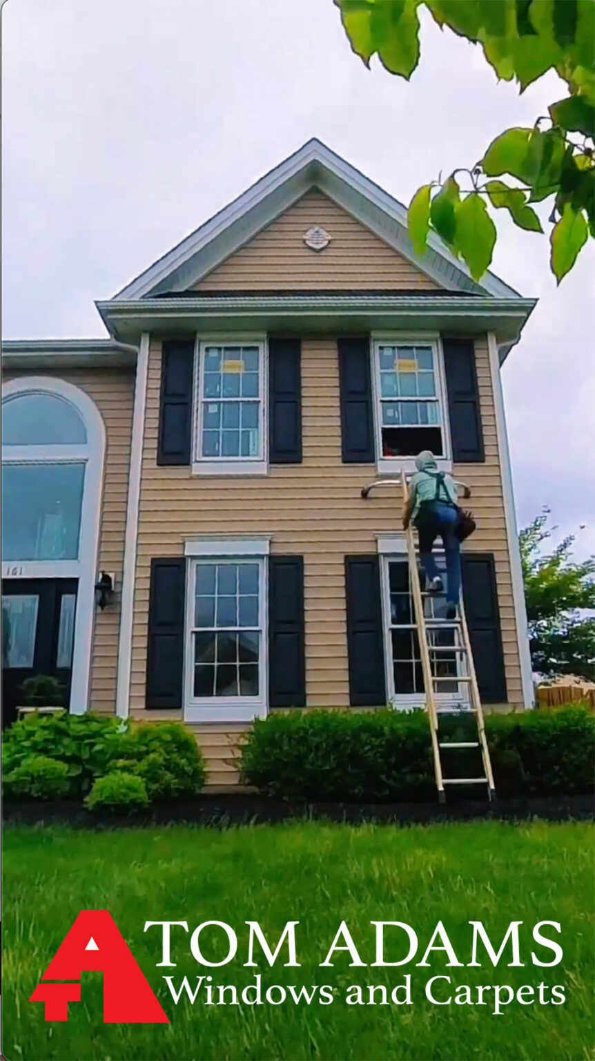 Galleries - Tom Adams Windows and Carpets